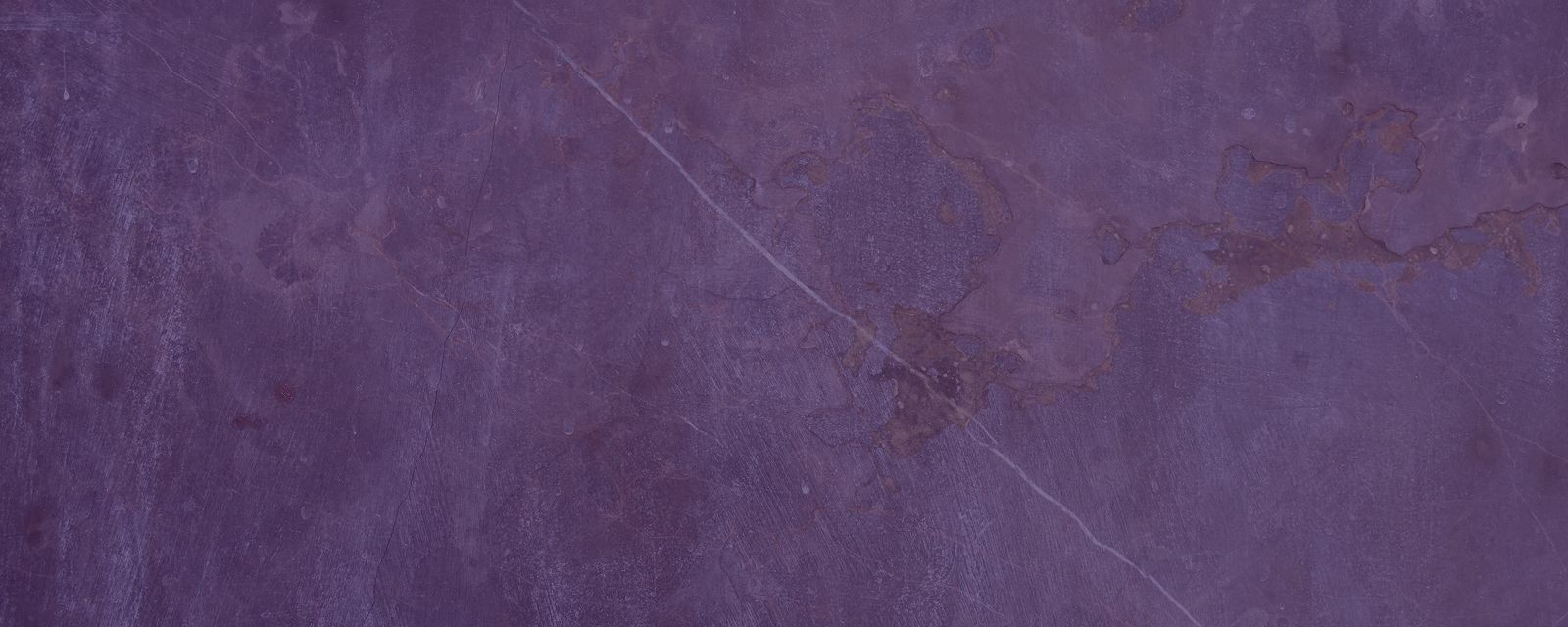 Vulvoplasty for Trans Women | Gender Affirming Surgery at Avané